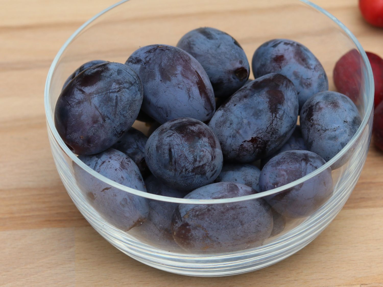 Zwetsche 'Haganta' ® - Prunus 'Haganta' ® - Baumschule Horstmann